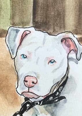 ACEO Original Mixed Media Painting Dog | eBay