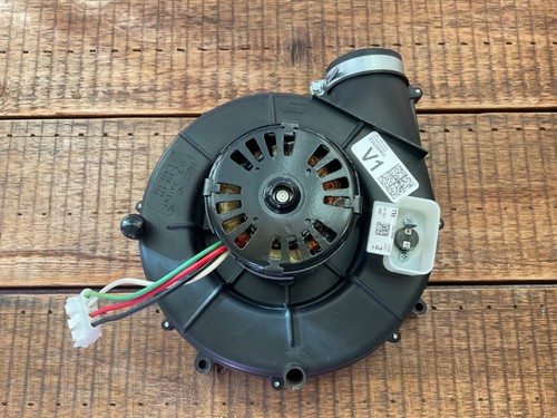 Furnace Draft Inducer Blower Motor 70920238 D342097P01 Fasco | eBay