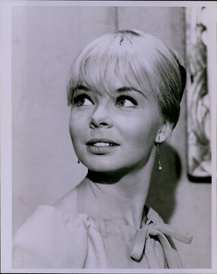 LG819 1966 Original Photo NICE NIECE Laurel Goodwin The Matchbreaker ...