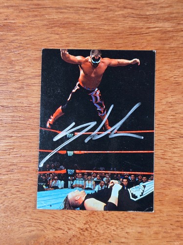 1998 WWF Wrestling Superstarz Hawk Silver Autograph Legion of Doom | eBay