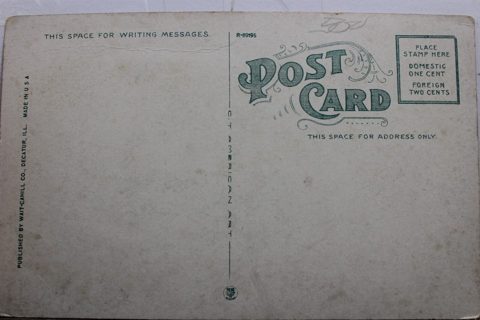 Illinois IL Decatur Lake Postcard Old Vintage Card View Standard ...