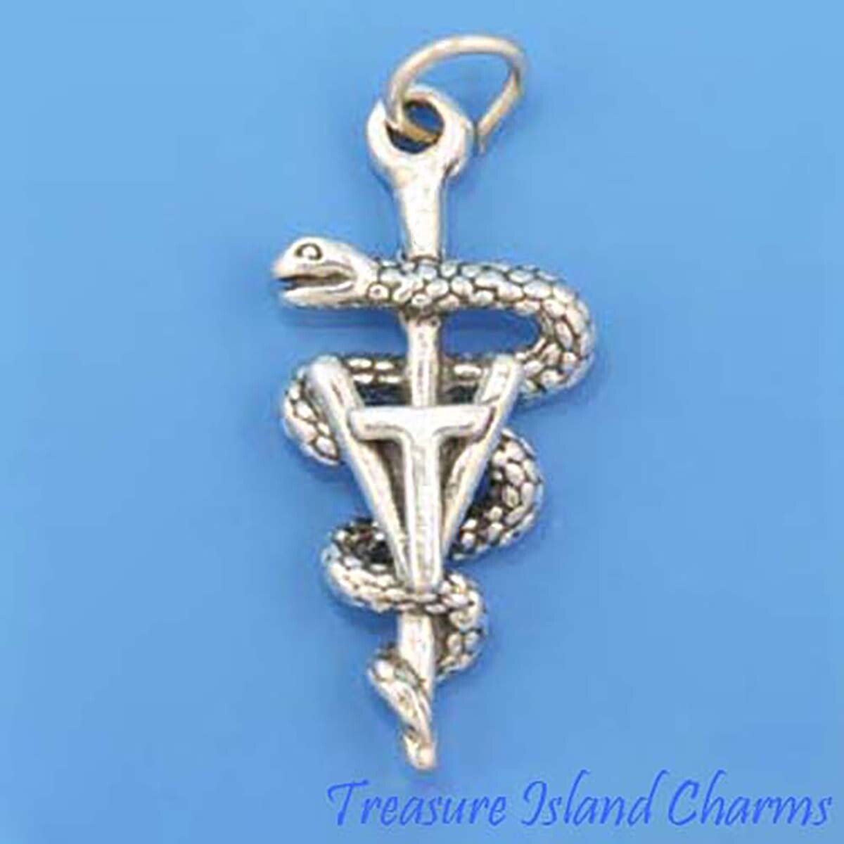 Veterinary Technician Vet Tech Caduceus 3D 925 Solid Sterling Silver ...