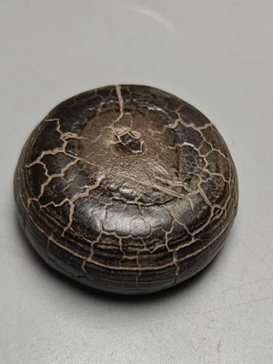 China Natural stone "tortoise back pattern" stone Moire stone 021403 tj ...