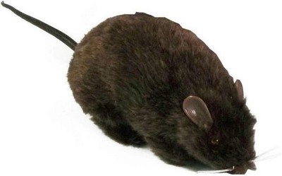 Furry Black Fake Rat Prop Scary Prank Mouse | eBay