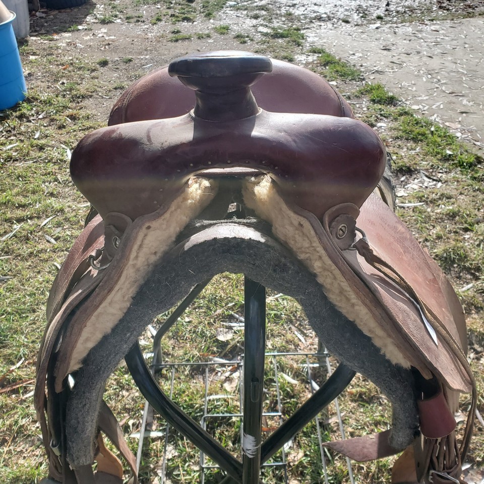 Fallis Balanced Ride Saddle, 14.5” cushion seat | eBay