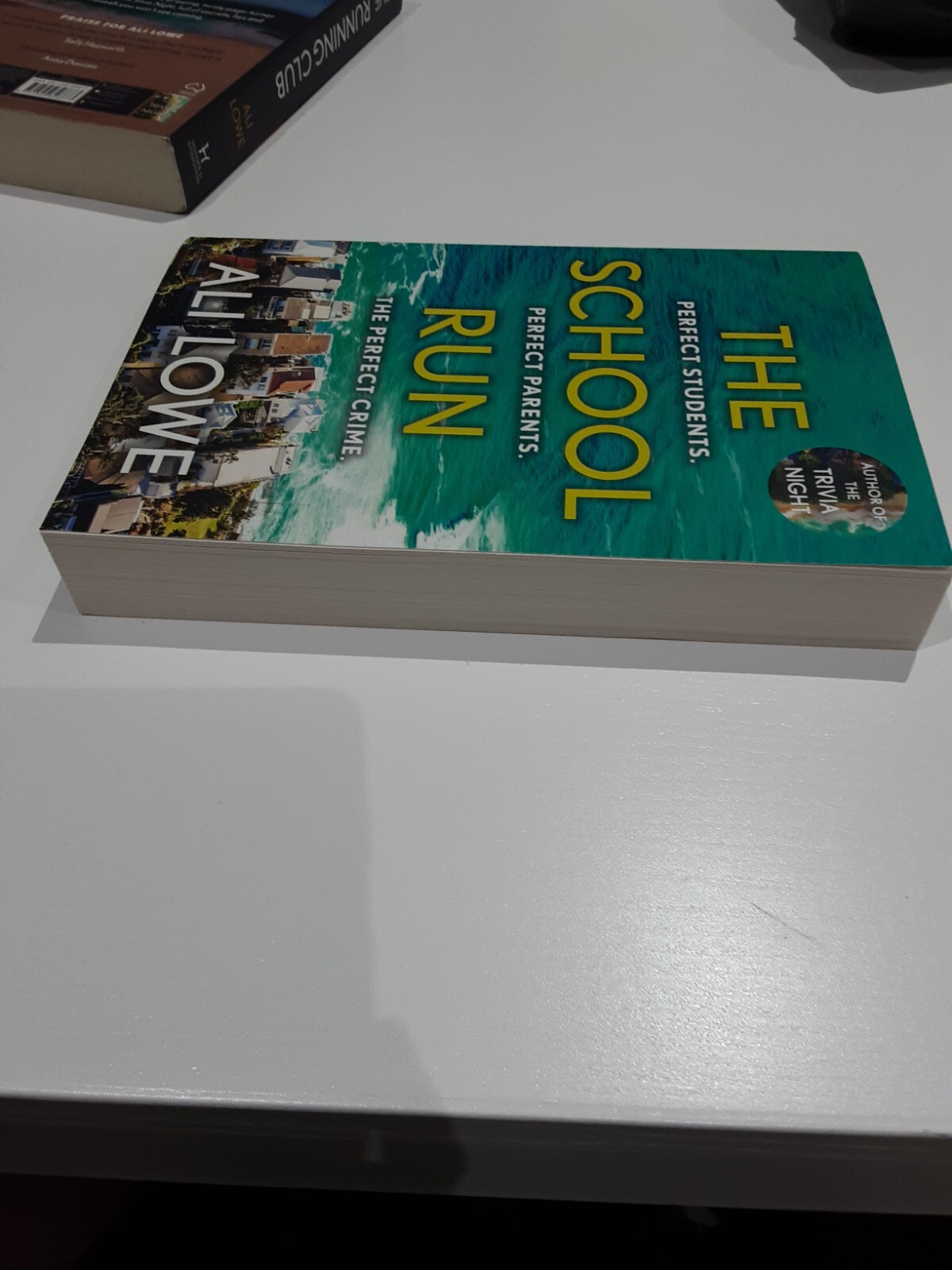 Ali Lowe Books - Bundle of 3 Books for $10.00 | eBay