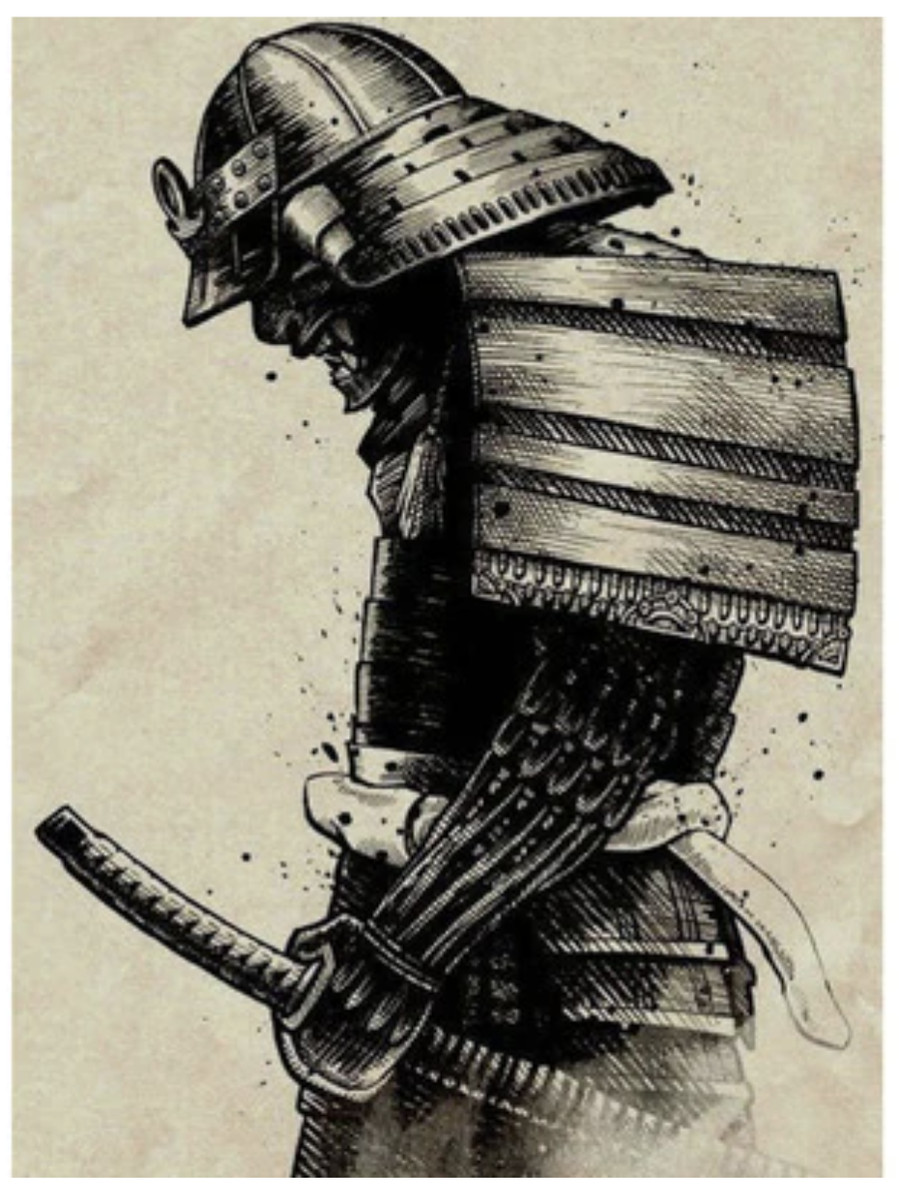 Ronin Samurai Drawings