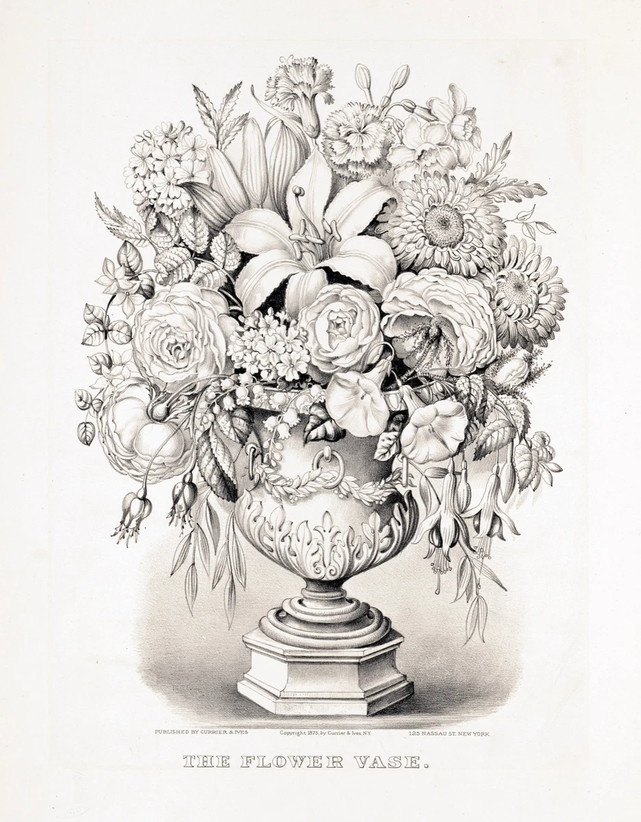 Victorian Flower Drawings