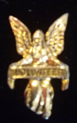 Volunteer Angel Lapel Pin Tack Pin | eBay
