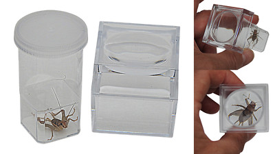Bug Pot with Magnified Lid, & Specimen Collection Pot | eBay