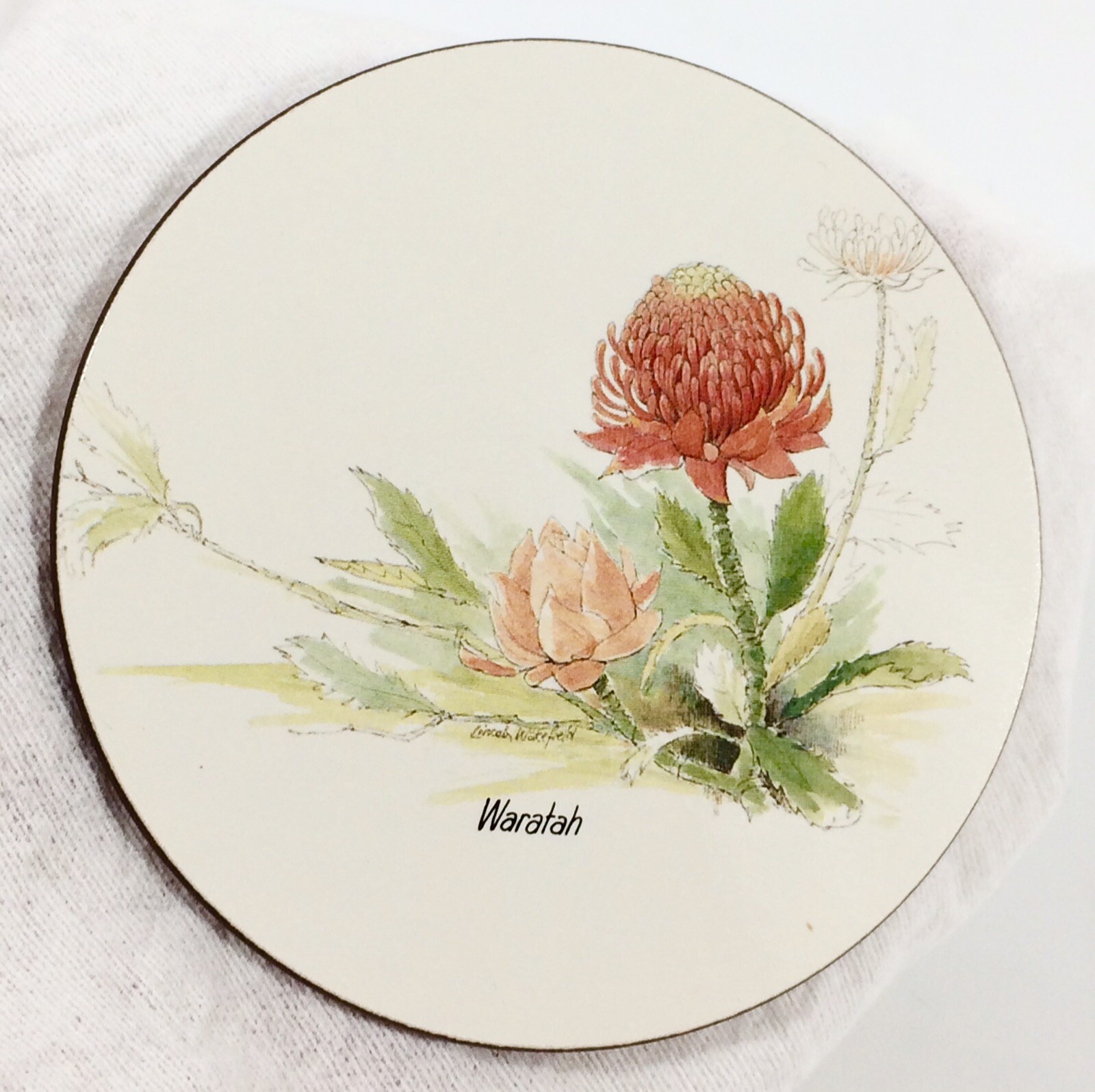Vtg Jason Round Cork Coasters Australian Wild Flowers Set of 6 New ...