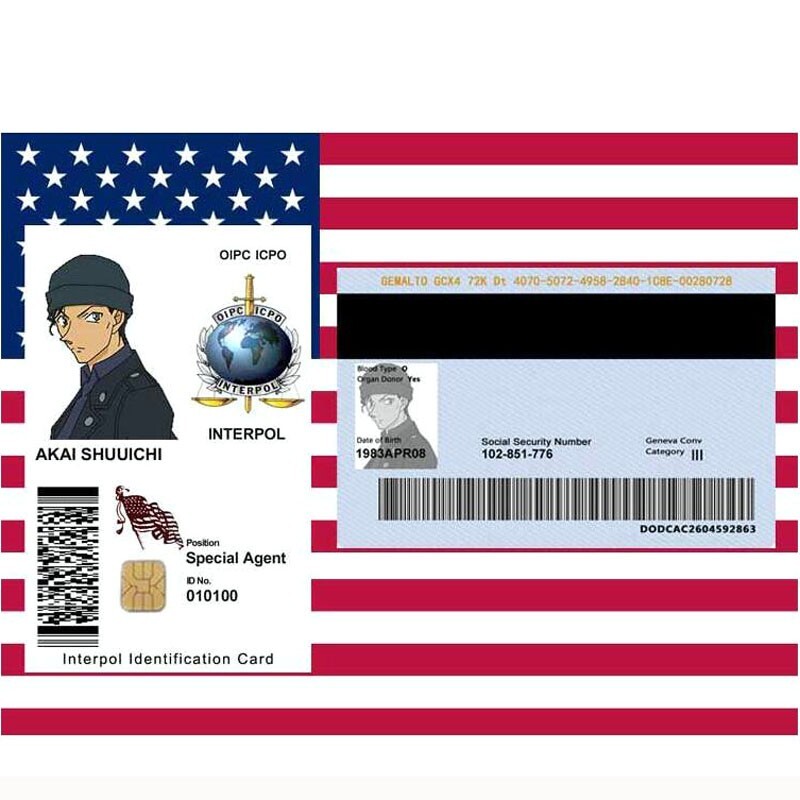 US INTERNATIONAL INTERPOL ICPO ID CARD | eBay