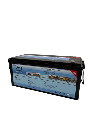 PR12-300-LIFE 12.8v 300ah RV Battery 522 × 240 × 219 | eBay UK