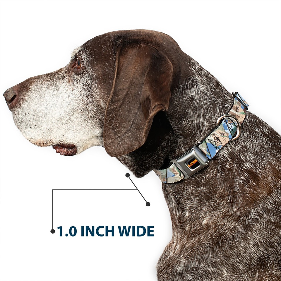 Dog Collar CDSA-DR. STONE Title Logo Full Color Black/Orange Dr. Sto ...