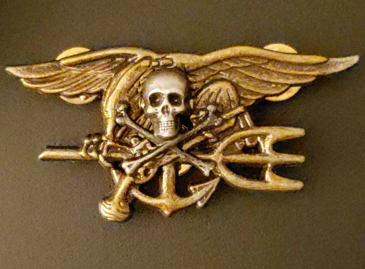 Navy Seals Logo Skull