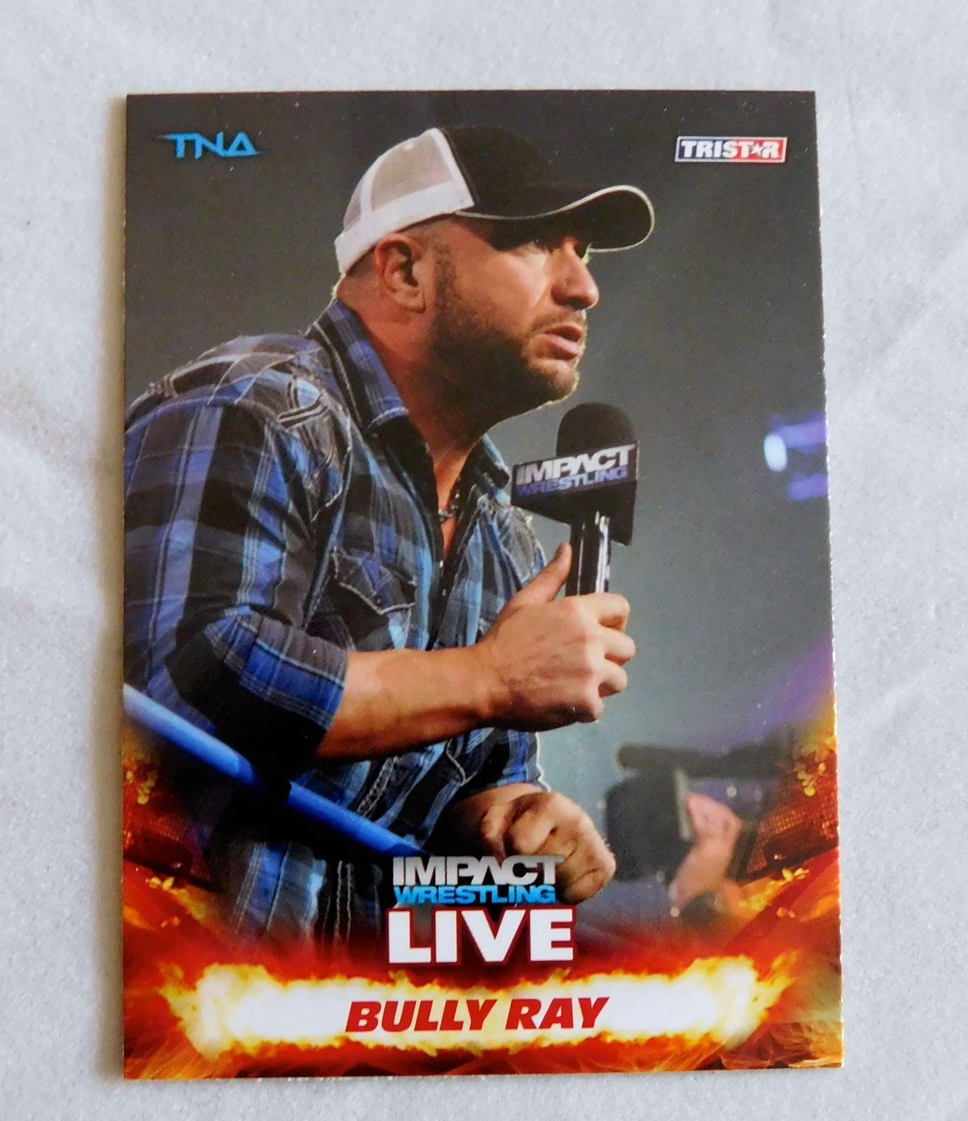 Bully Ray Buh Buh Dudley 2013 Wrestling Trading Card TNA Impact Live ...