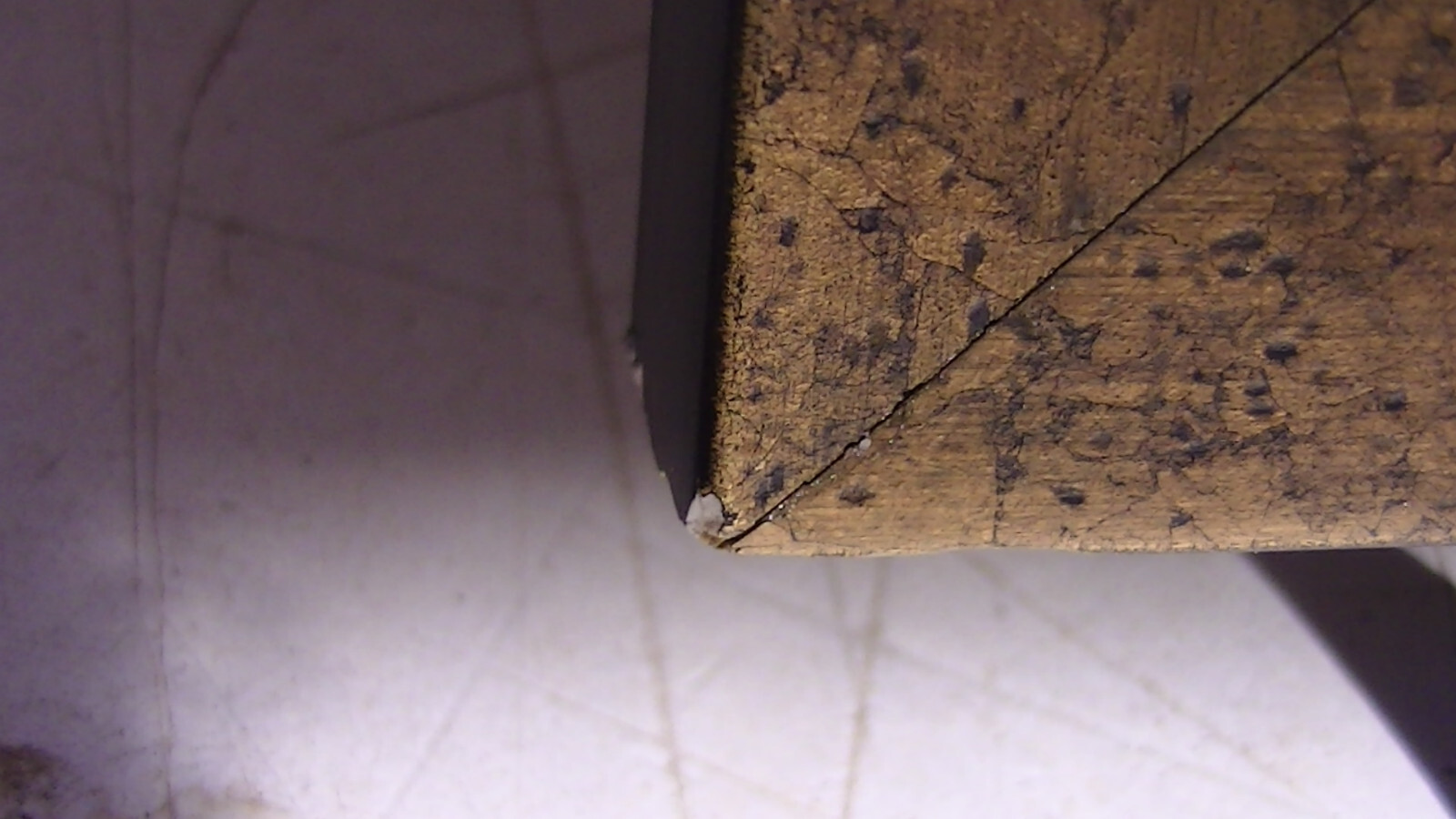 Original JOULE Art Studio Oil Painting By Deborah Dailey And Terry ...