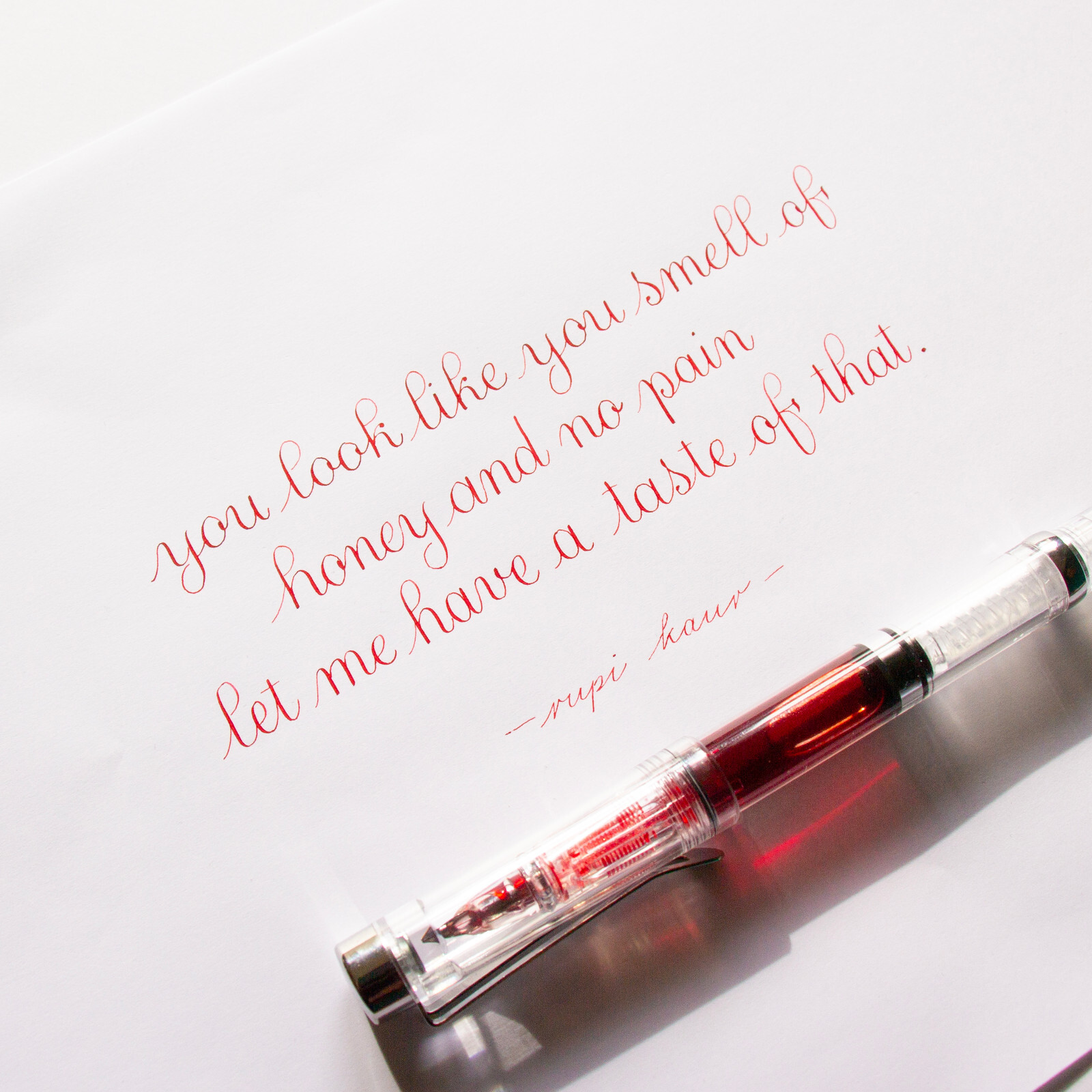 Semi Flex Piston Filled Manga Fountain Pen with Semi Flexible Maru Dip ...