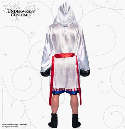 Boxer - Shorts & Robe - Rocky - Creed - Costume - Adult - 2 Sizes | eBay