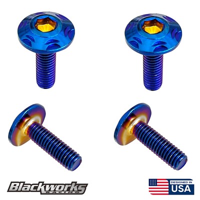 4 STAINLESS STEEL TITANIUM BURNT LICENSE PLATE SECURITY BOLTS HEX ...