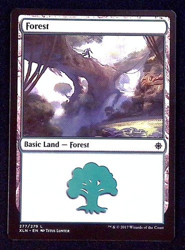 Forest Magic the Gathering Ixalan Basic Land | eBay