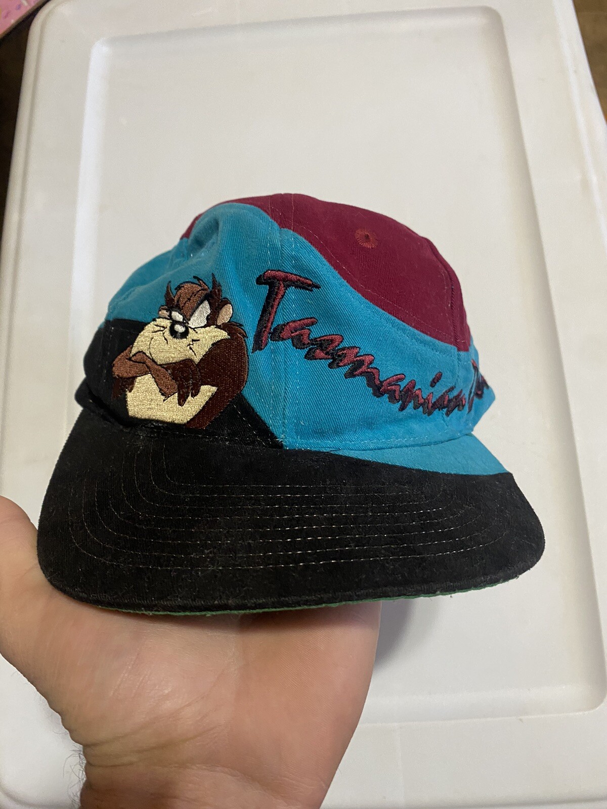 Rare Vintage 6 Flags Taz Tasmanian Devil Snapback Hat… - Gem