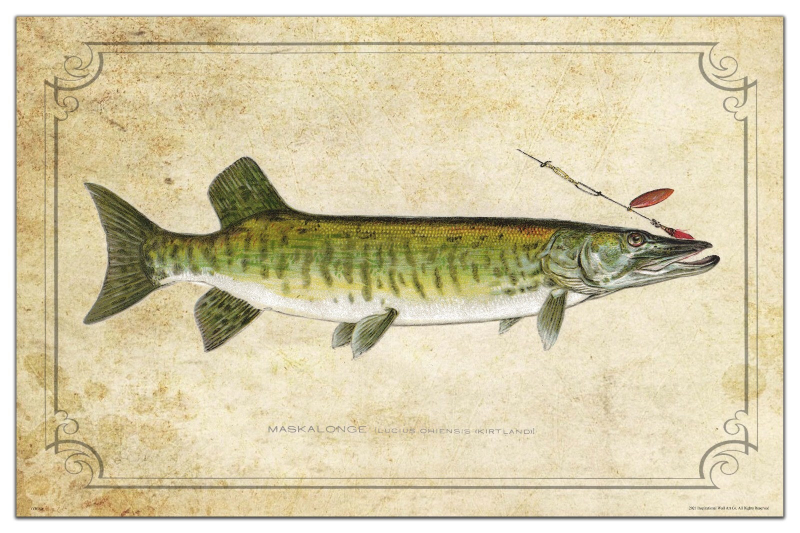 Vintage Muskie Ice Fishing Lures Baits Art Print 11x17 Hunting Cabin ...