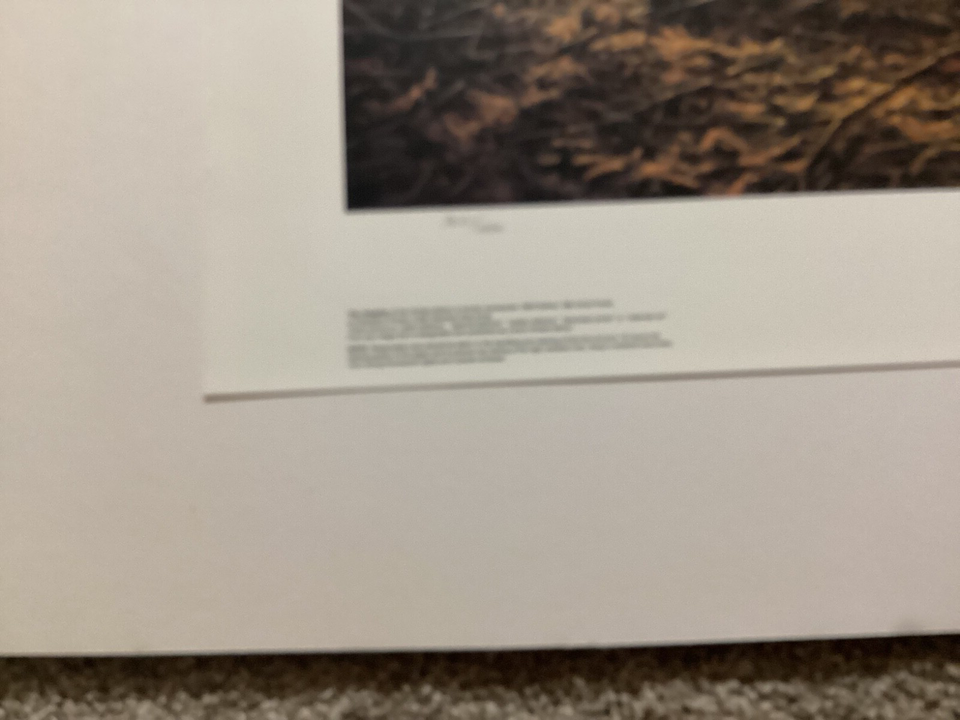 "Indian Summer" Signed Limited Edition Print by Terry Redlin | eBay