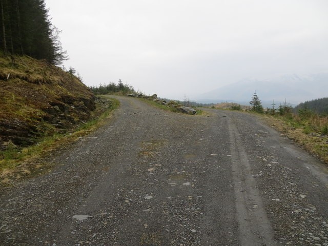 Photo A2 Junction of forestry tracks above Succoth Glenview c2013 | eBay