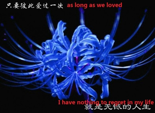 Origami spider Lily Paper Flower Centerpiece wedding anniversary decor ...