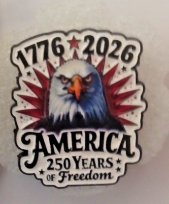 AMERICA 250 YEARS OF FREEDOM -PIN-2 OR MORE PINS $5.49 SHIPPING | eBay