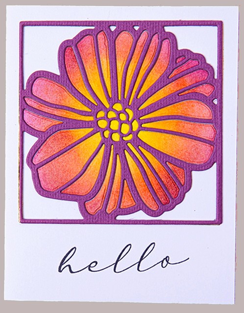 Sizzix Thinlits Dies By Olivia Rose 3/Pkg-Floral Card Fronts -665177 ...