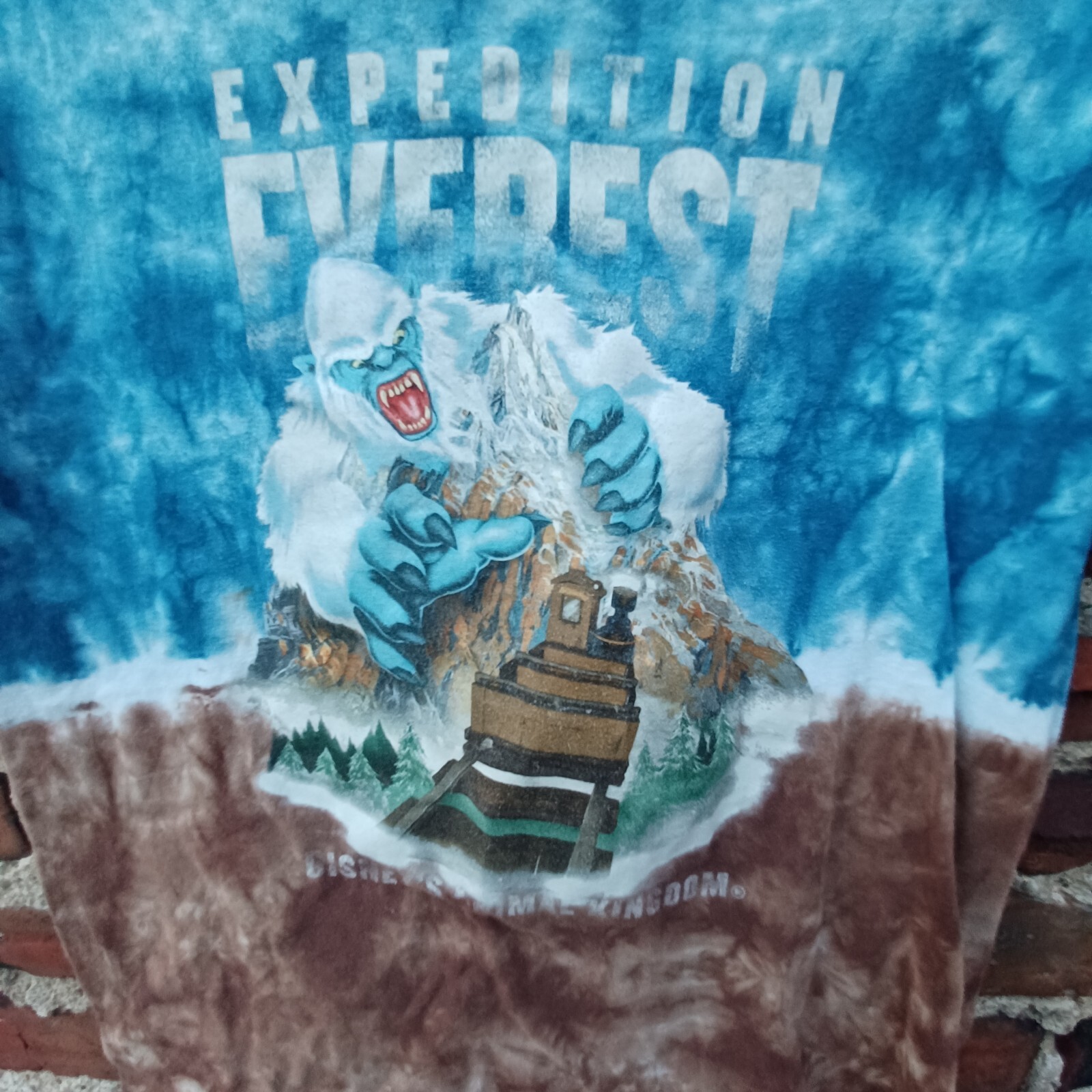 Disney Animal Kingdom Tie Dye Yeti Expedition Everest Small Roller ...