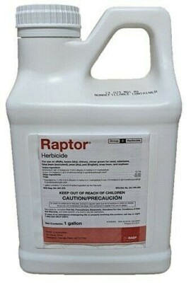 Raptor Herbicide - 1 Gallon by BASF | eBay