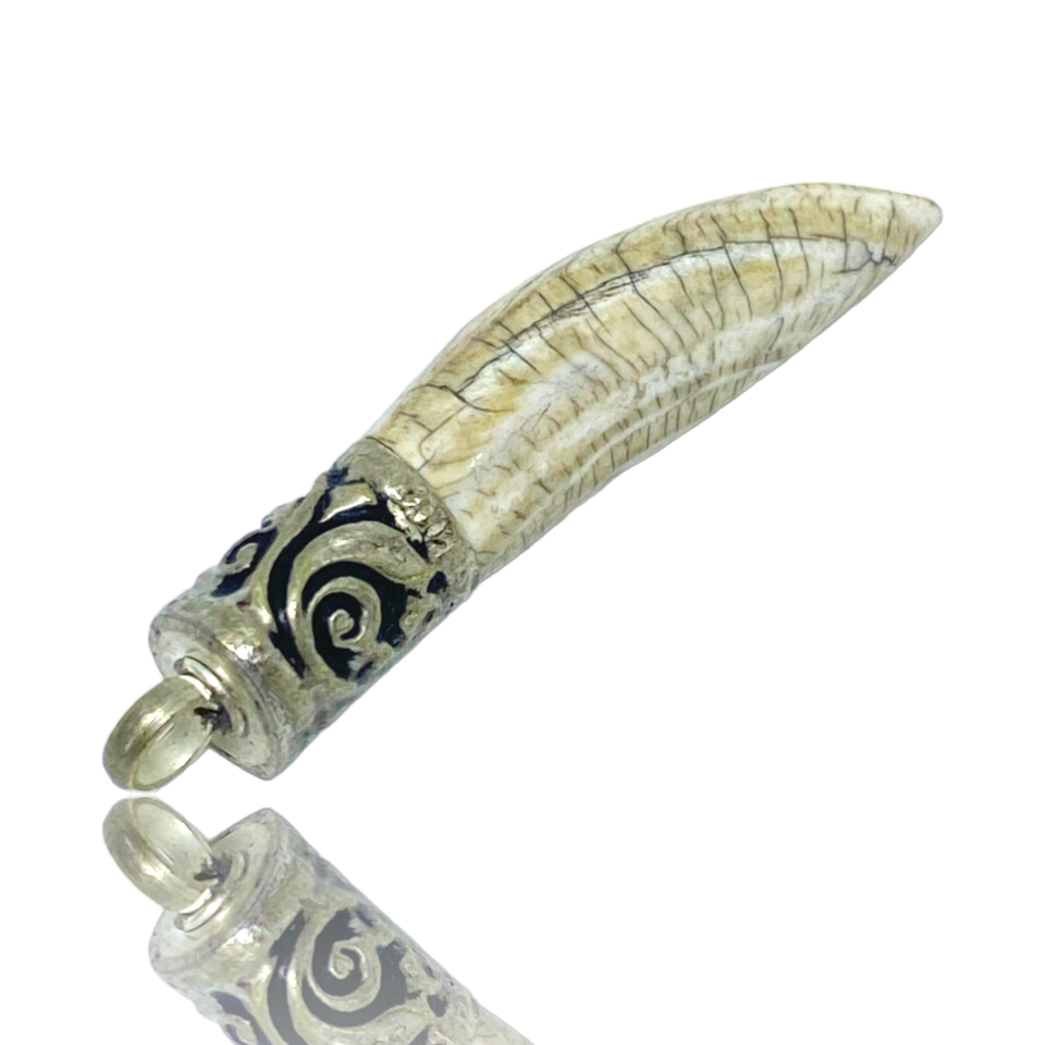 Tibetan Naga Conch Shell Horn Pendant - Ethnic Tribal Horn Tusk Tooth ...