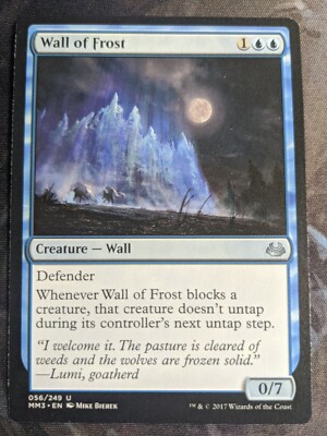 MTG Wall of Frost Modern Masters 2017 56/249 Regular Uncommon Near Mint ...