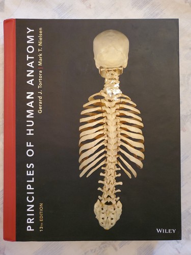 USED Principles of Human Anatomy - Binder Ready Version - 13th Edition ...