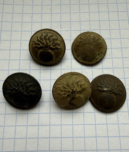 5x Antique French Grenadier Buttons 19th Century Military Uniform Brass ...