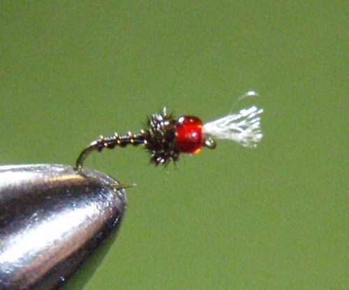 Rojo Midge Emerger Fly Black size. 22 HOT PATTERN FREE SHIPPING | eBay