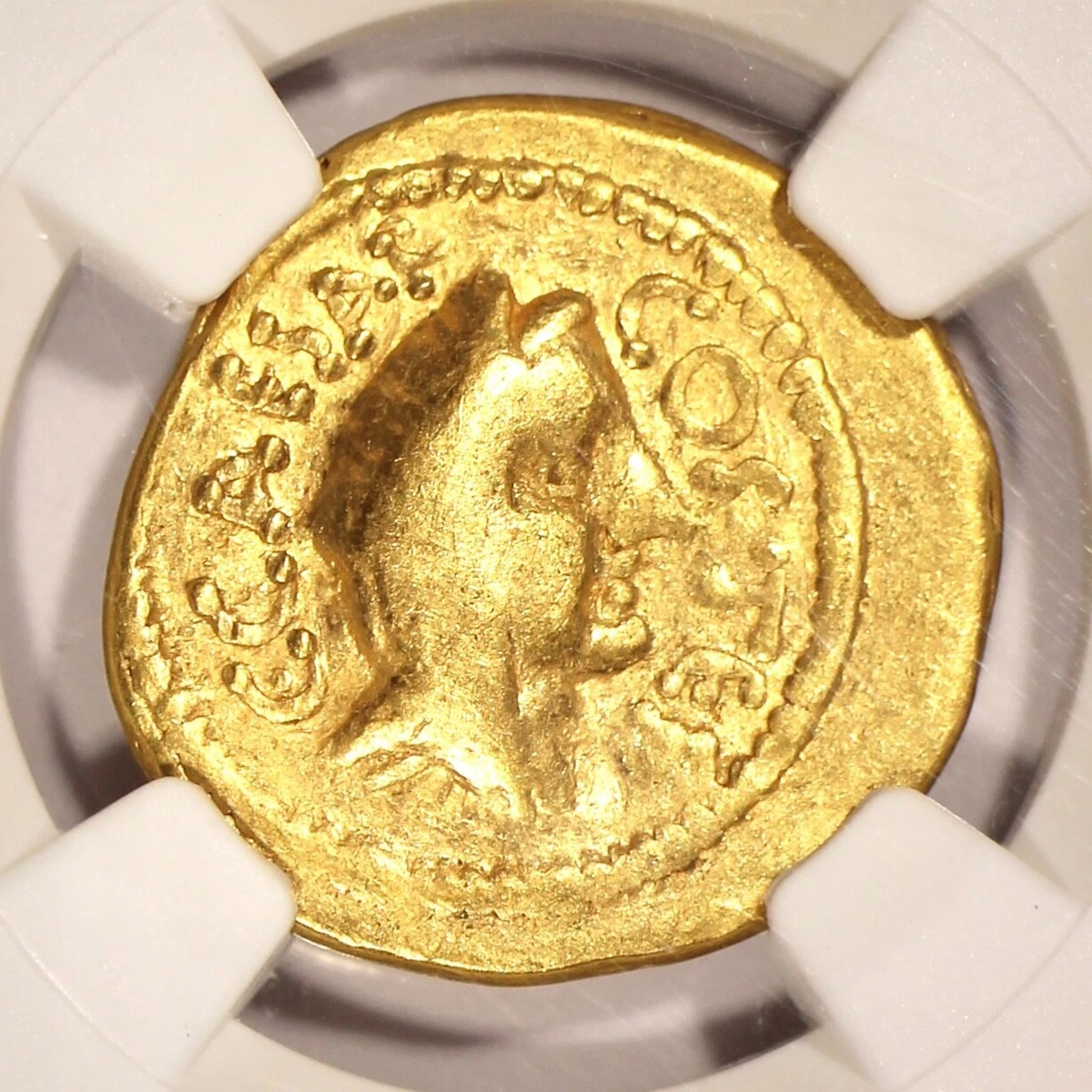 Ancient Roman Coins Julius Caesar