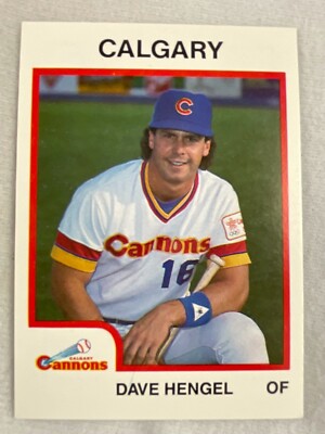 1987 Calgary Cannons Minor League Baseball ProCard#2317-Dave Hengel | eBay