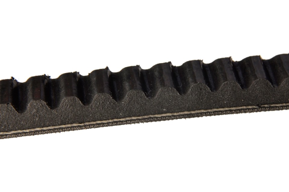 Continental ContiTech Accessory Drive Belt | eBay