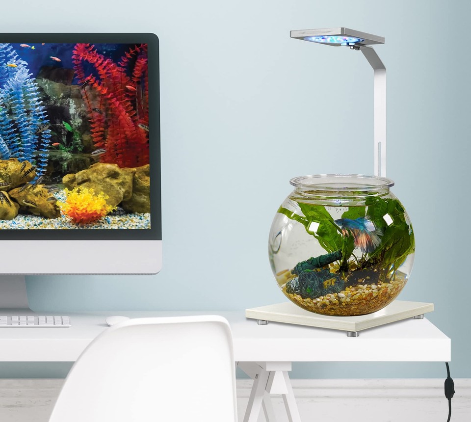 Eco-Sphere Fishbowl and LED Light Kit – Use as a Fish Tank, Planter for ...