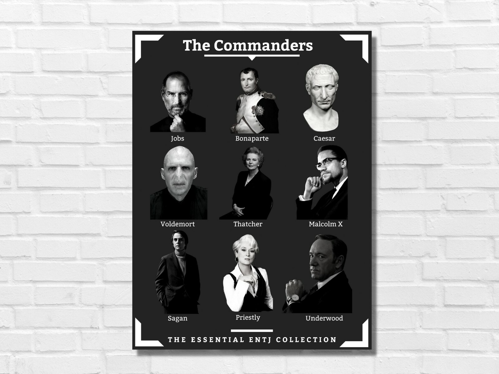 Entj Posters