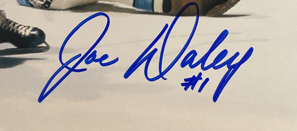 Joe DALEY Signed 8x10 Photo! WINNIPEG JETS, Pittsburgh Penguins! Goalie ...