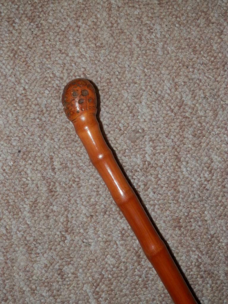 Antique Rigid Bamboo Walking Stick/Cane W/ Root Ball Coppice Handle ...