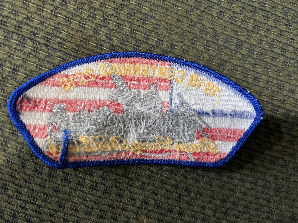 CSP Bucks County Council Blue Border 2010 Centennial 100th Ann SA-95 ...