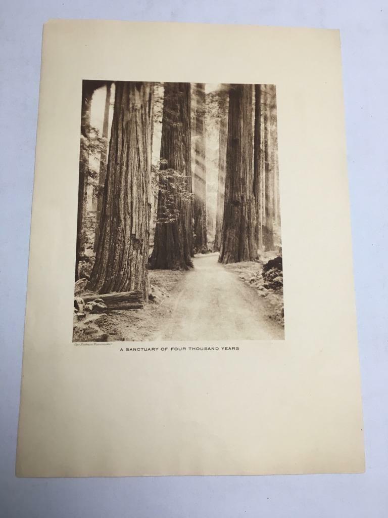 Vtg Rodman Wanamaker ~A Sanctuary of Four Thousand Years~ Lithograph ...