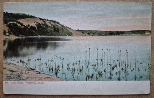 Wellfleet, MA. Gull Pond - 1900s Postcard | eBay