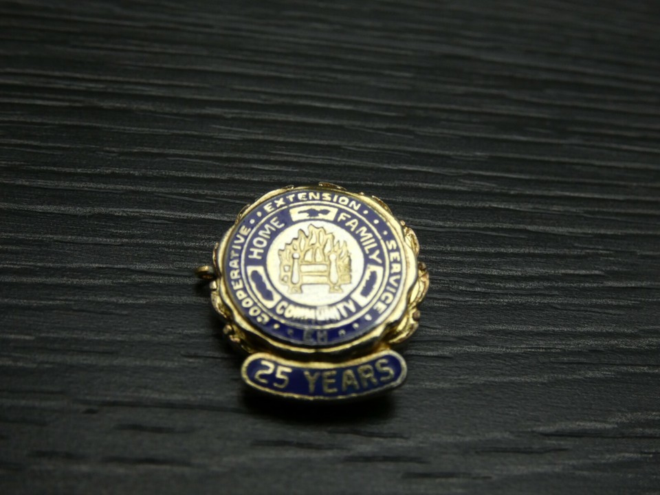 Vintage Sterling Silver Gold Tone EH Home Community Family 25 Year Pin ...